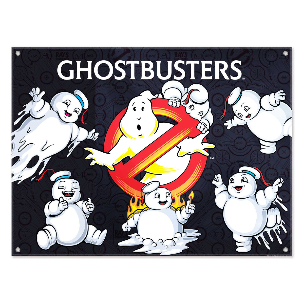 Ghostbusters 3' x 4' Fabric Wall Banner – Prime Party